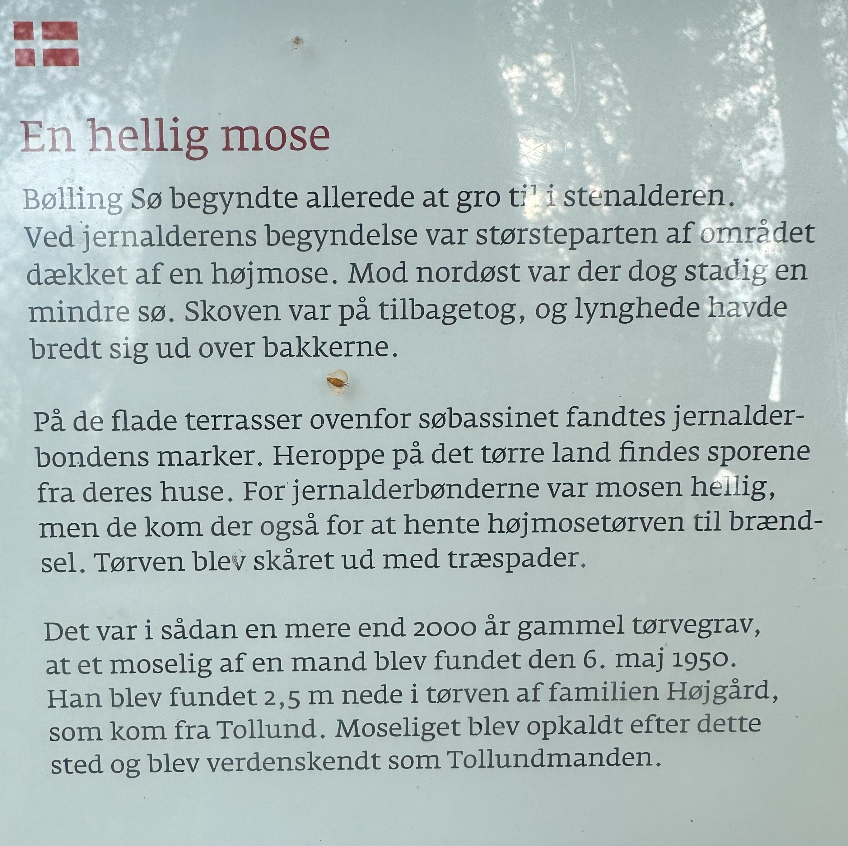 A Visit to Bjældskovdal Peat Bog – The Bog Body Resource