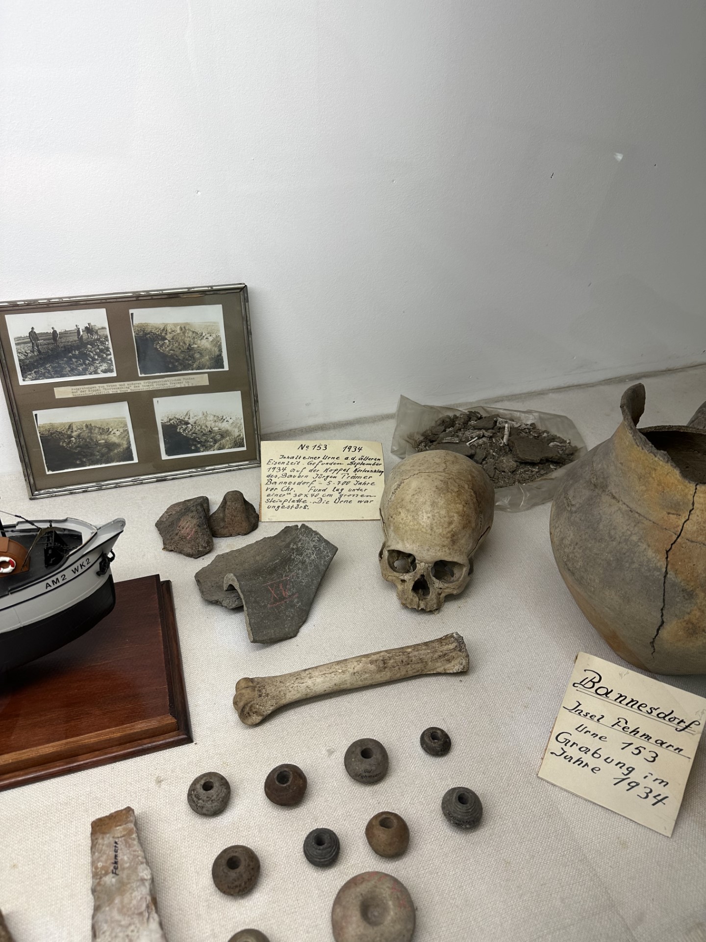 Displaying the Lindow Man: A Case Study – The Bog Body Resource